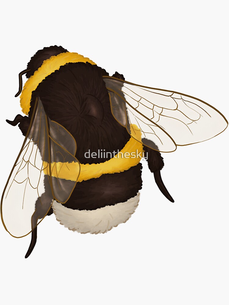 "Bumble Bee Sticker" Sticker for Sale by deliinthesky | Redbubble