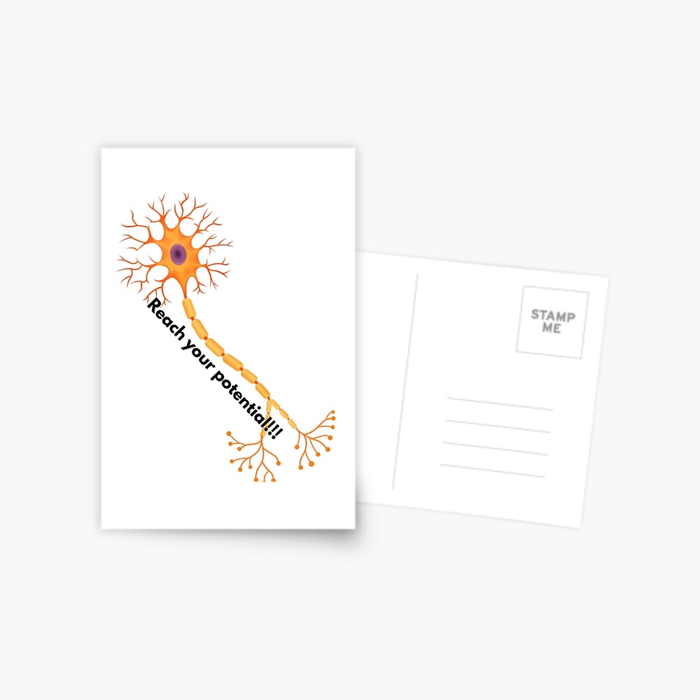"Funny Neuron Stickers" Sticker by SaraDesigns97 | Redbubble