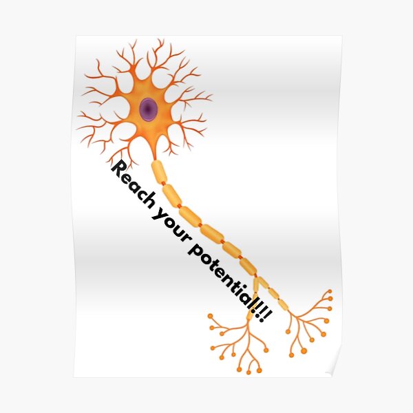 "Funny Neuron Stickers" Poster for Sale by SaraDesigns97 | Redbubble