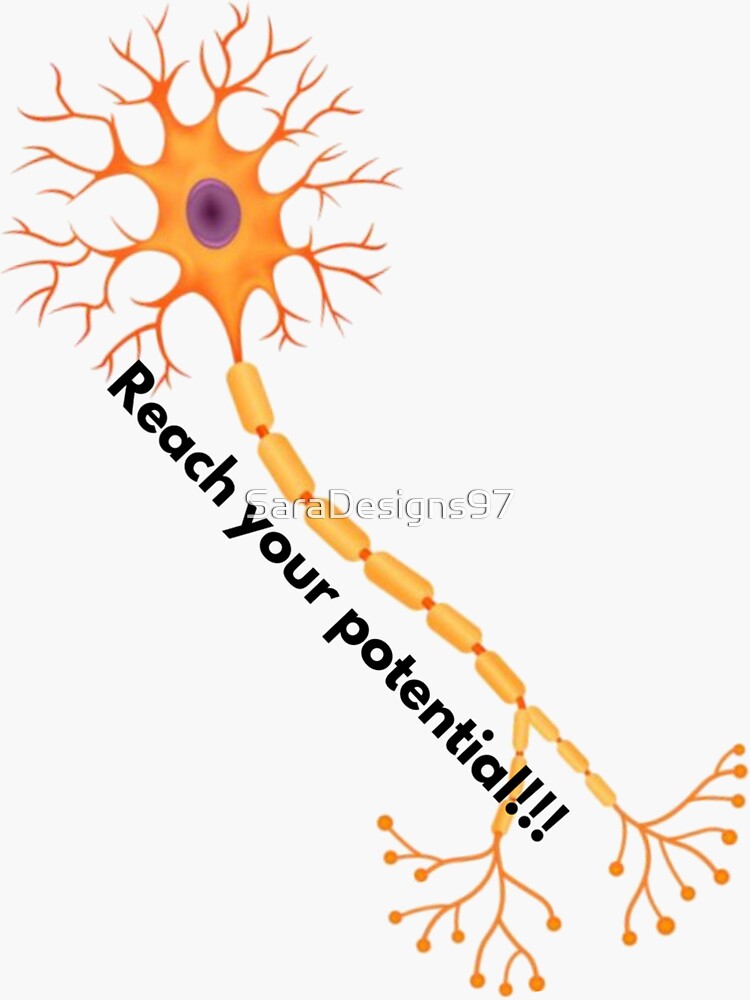 "Funny Neuron Stickers" Sticker by SaraDesigns97 | Redbubble