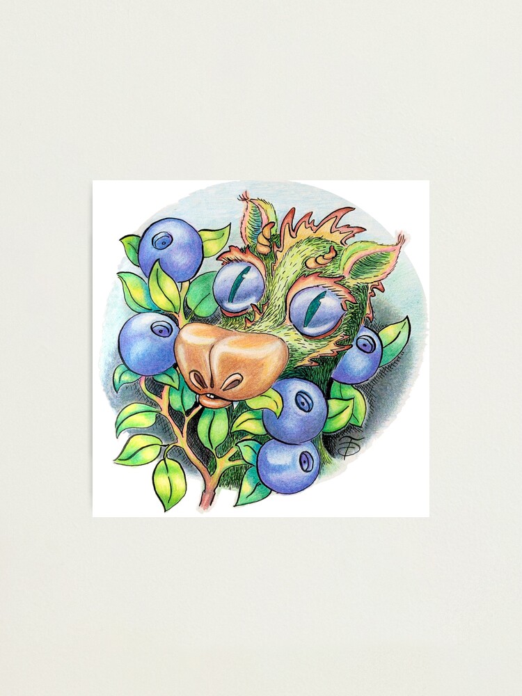 Lámina fotográfica «Dragon Blueberry dibujo a tinta y lápices de ...