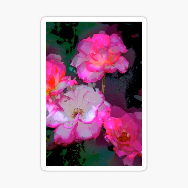 "Rose 223" Sticker for Sale by secretgardener | Redbubble