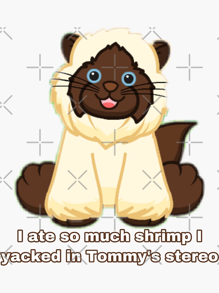 "Webkinz kitty i ate so much shrimp i yacked in Tommy’s stereo meme ...