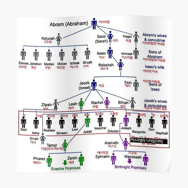 "i want study about abram's family tree " Poster by AWESOME1472 | Redbubble