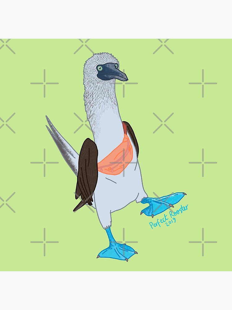 "Blue Footed Booby" Poster by perfectrooster | Redbubble