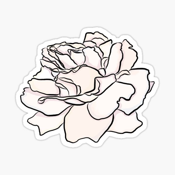"Not all Roses are Red" Sticker by justhappiling | Redbubble
