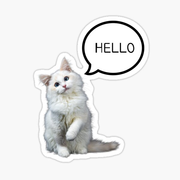 "cat says hello " Sticker by wonderfloral | Redbubble