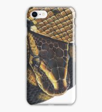 Ball Python: Gifts & Merchandise | Redbubble