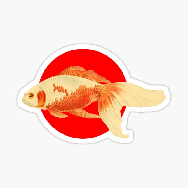 "Japanese inspired Koi Style" Sticker by AlexSin | Redbubble