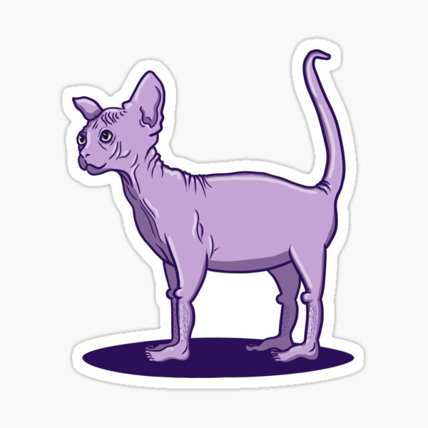 "cursed cat" Sticker for Sale by Nurschkaka- | Redbubble