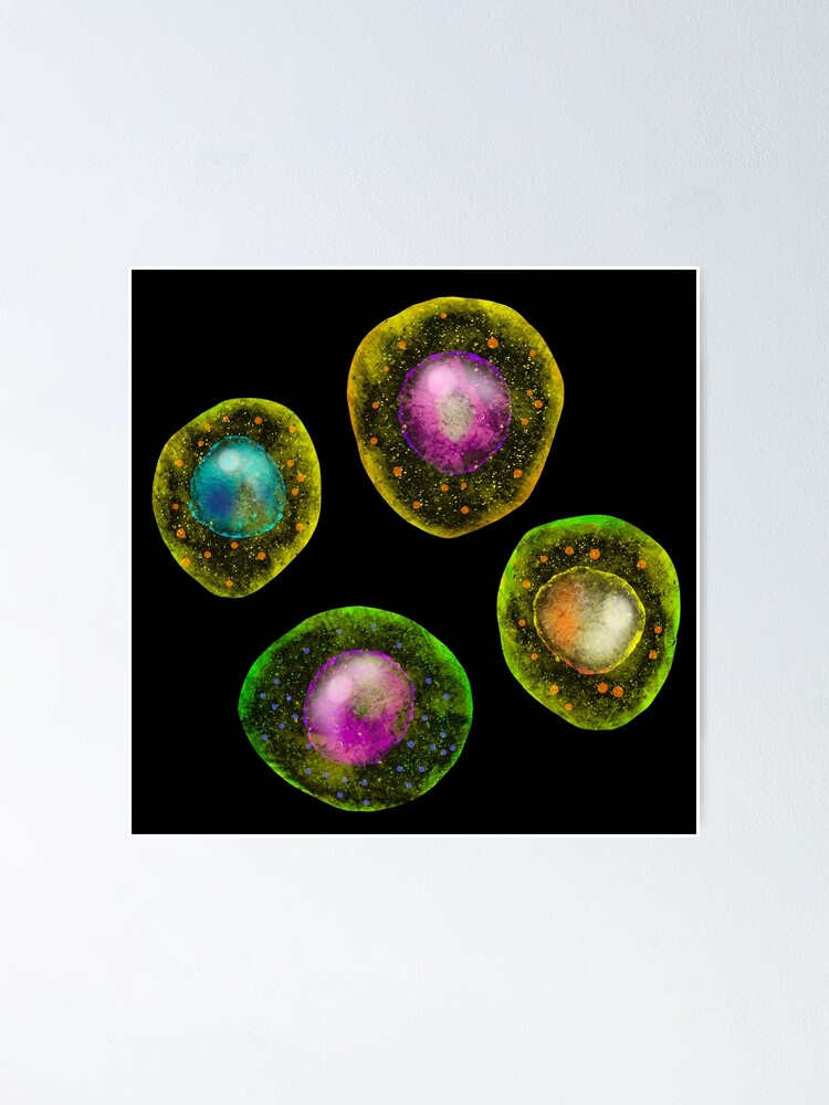 "Colorful stem cells " Poster by Osher-BioArt | Redbubble