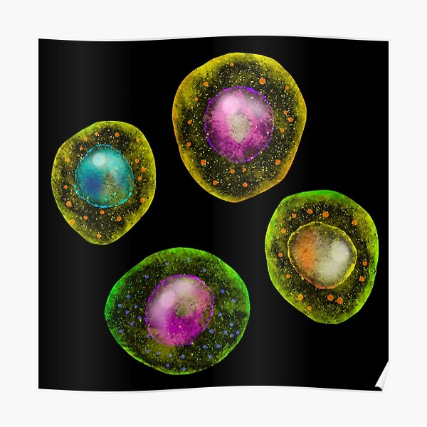 "Colorful stem cells " Poster by Osher-BioArt | Redbubble