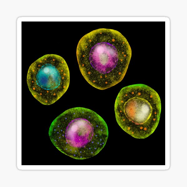 "Colorful stem cells " Sticker by Osher-BioArt | Redbubble