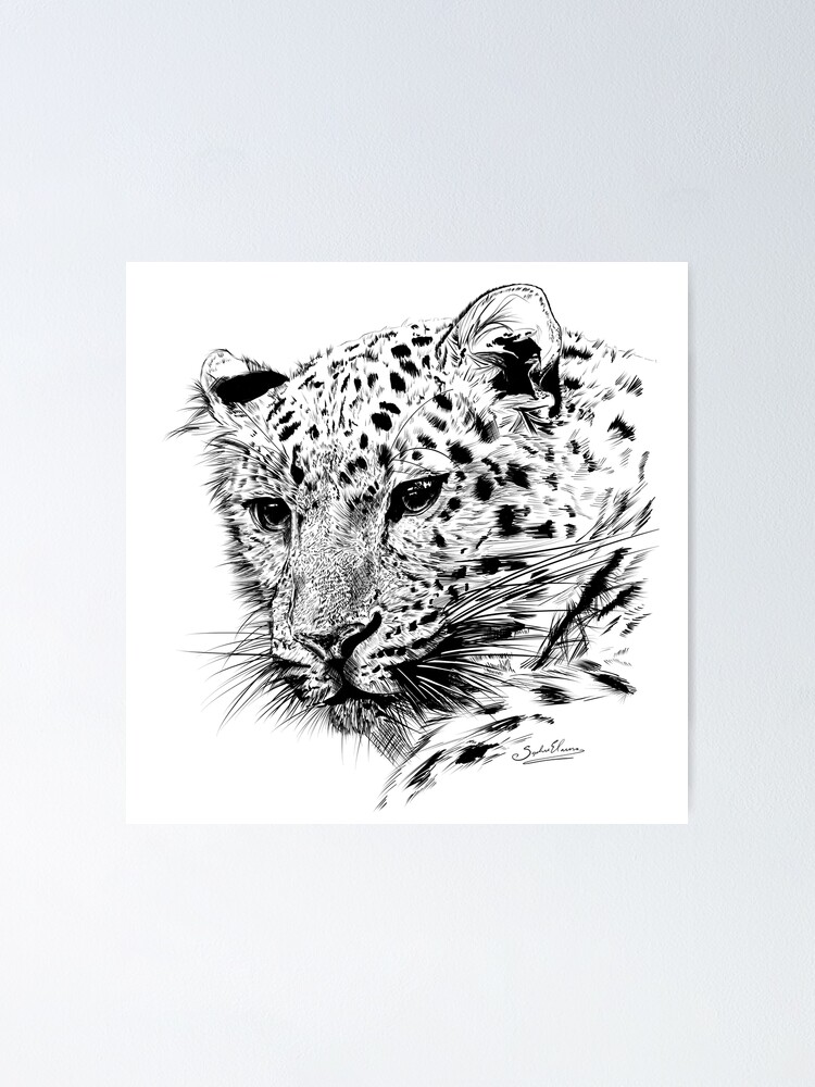 "Amur Leopard" Poster for Sale by Xxsophie21xX | Redbubble