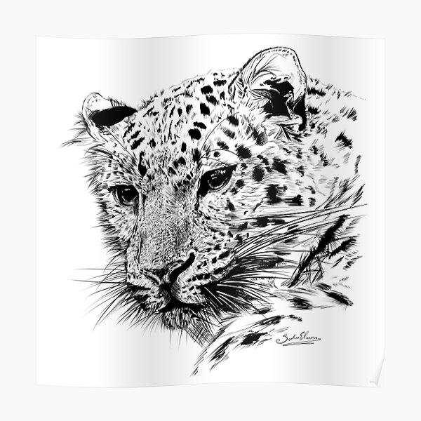 "Amur Leopard" Poster for Sale by Xxsophie21xX | Redbubble
