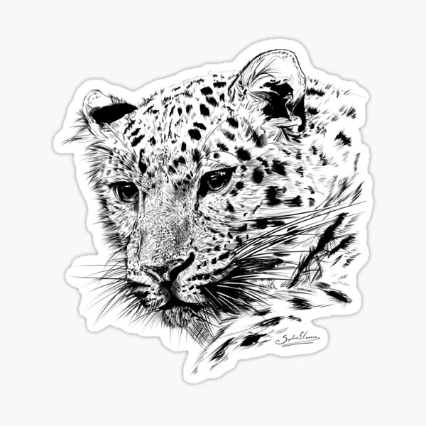"Amur Leopard" Sticker for Sale by Xxsophie21xX | Redbubble