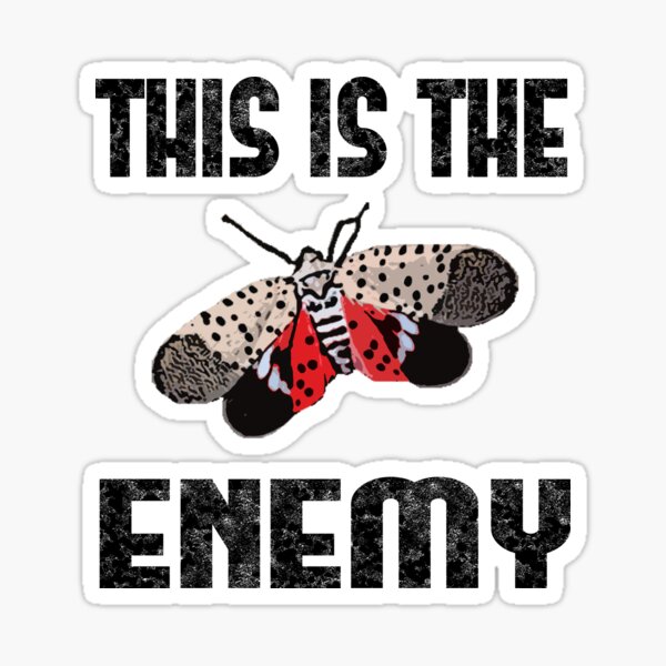 "This Is The Enemy" Sticker for Sale by SpaceBandidos | Redbubble
