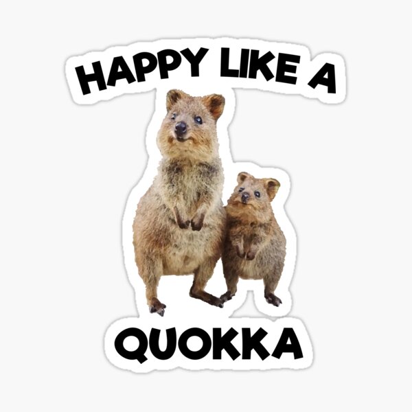 "Happy Like a Quokka Cute Australian Teddy Bear" Sticker for Sale by ...