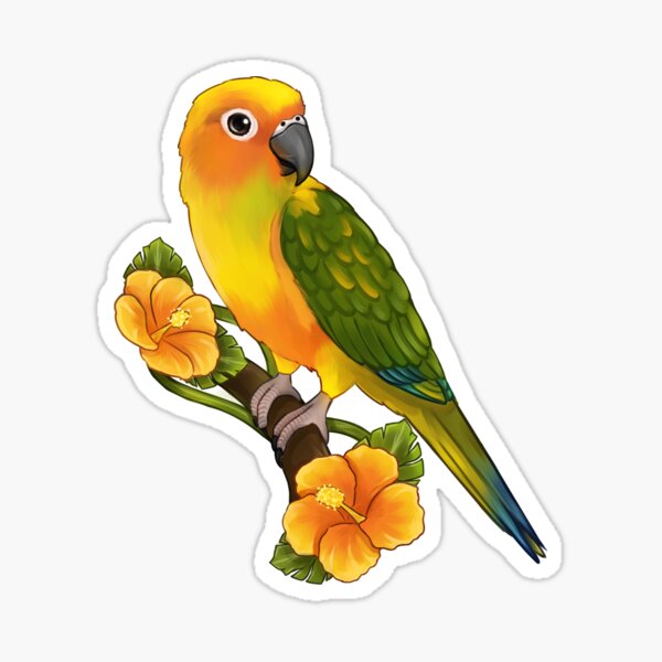 "Beautiful Sun Conure" Sticker for Sale by meruesan | Redbubble