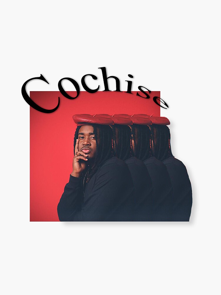 "Cochise Artist design" Sticker for Sale by LuigiiiBoyyy | Redbubble