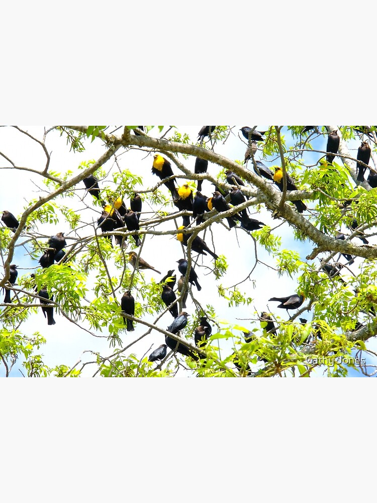 Yellow Headed Blackbirds Premium Matte Vertical Poster sold by Brendan Jones | SKU 40802359 | 25 ...