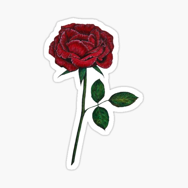 "Little Red Rose" Sticker for Sale by Vintage-Illus | Redbubble