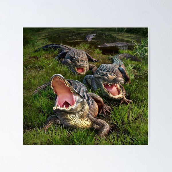 "Gator Bog" Poster for Sale by Jerry LoFaro | Redbubble