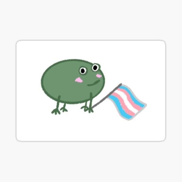 "Transgender frog boi" Sticker by Lemon-drops-art | Redbubble