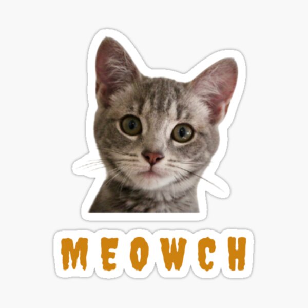 "Cat Meowch" Sticker for Sale by DiaDezigns | Redbubble