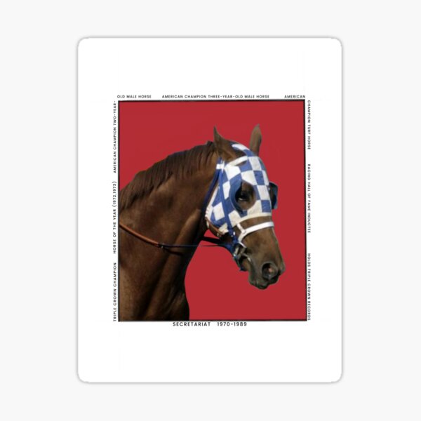 Secretariat Gifts & Merchandise | Redbubble