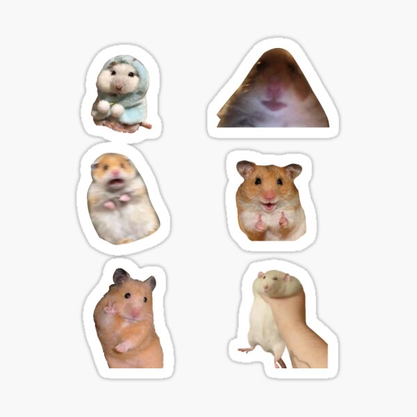 "Hamster Memes Pack" Sticker by putonmemes | Redbubble