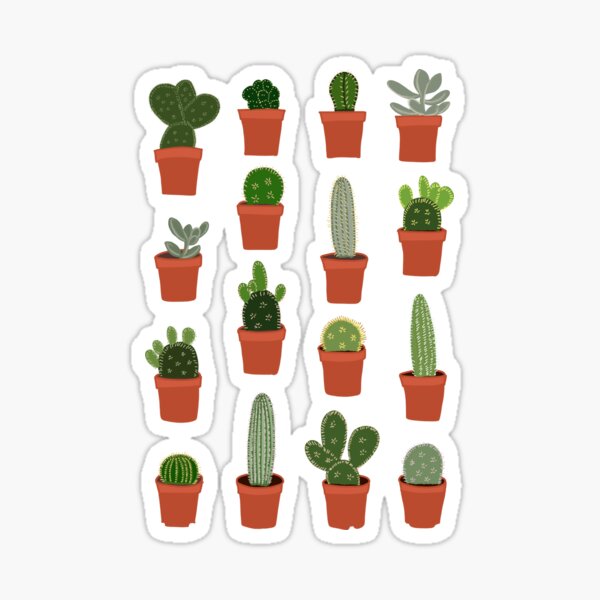 "Set of 16 cacti succulents" Sticker by evelinedsouza | Redbubble