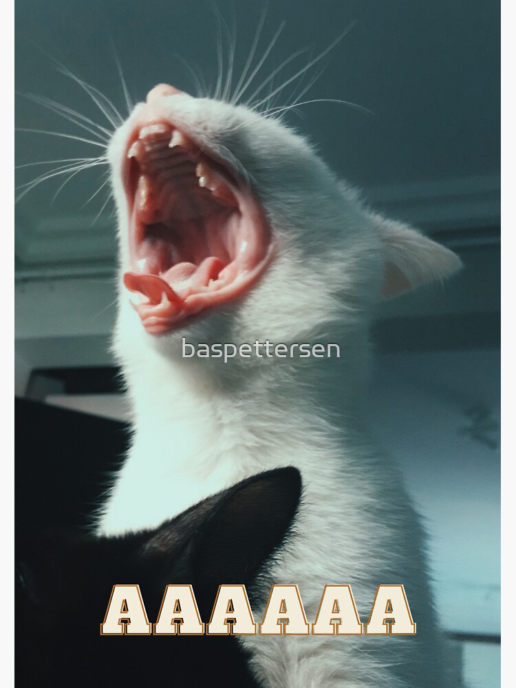 "aaaa cat" Sticker for Sale by baspettersen | Redbubble