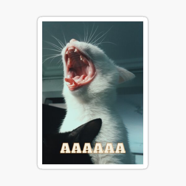 "aaaa cat" Sticker for Sale by baspettersen | Redbubble