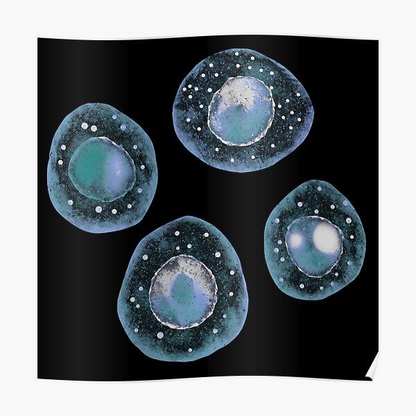 "Cells biology art" Poster by Osher-BioArt | Redbubble