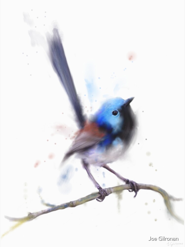 "Fairy Wren" Sticker by JGilronan | Redbubble