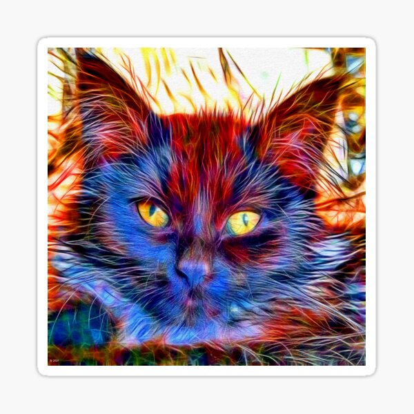 "Cat Close Up" Sticker for Sale by danieljanda | Redbubble