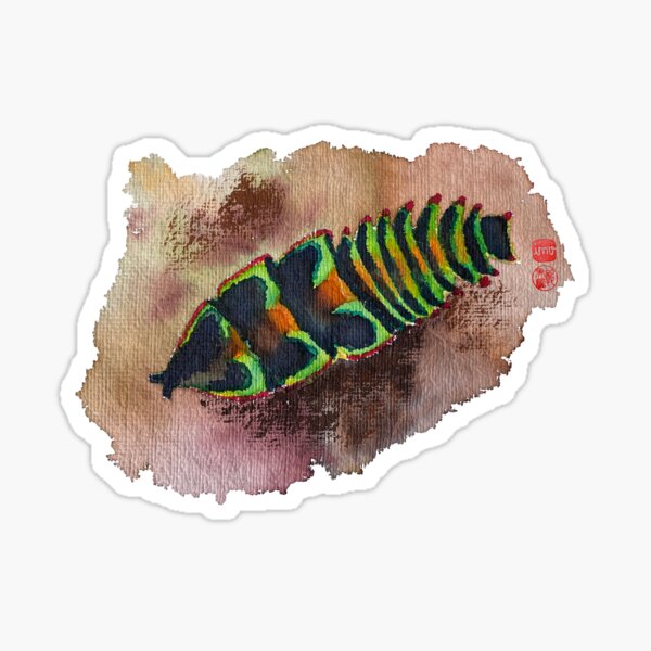 "Colorful Trilobite Beetle" Sticker for Sale by bananecamembert | Redbubble