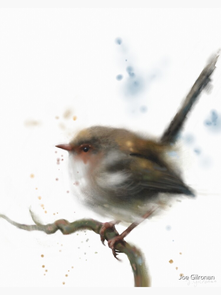 "Superb Fairy Wren" Sticker for Sale by JGilronan | Redbubble