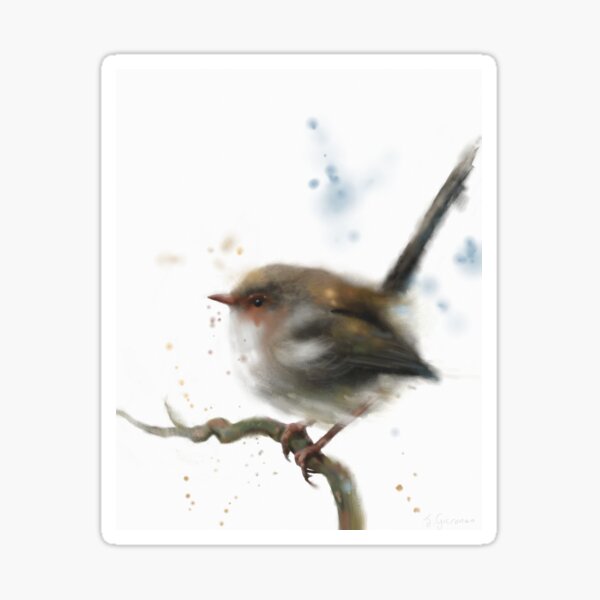 "Superb Fairy Wren" Sticker for Sale by JGilronan | Redbubble