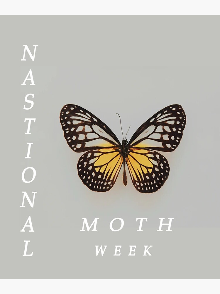 "National Moth Week" Poster for Sale by Ayham12345678 | Redbubble