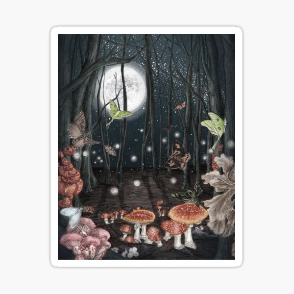 "Midnight Magic Colour Version" Sticker for Sale by ECMazur | Redbubble