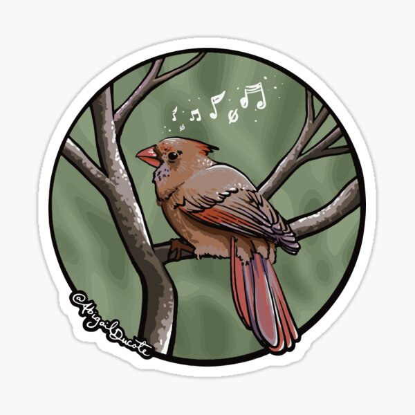 "Cardinal Bird (Female)" Sticker for Sale by abigailducote | Redbubble