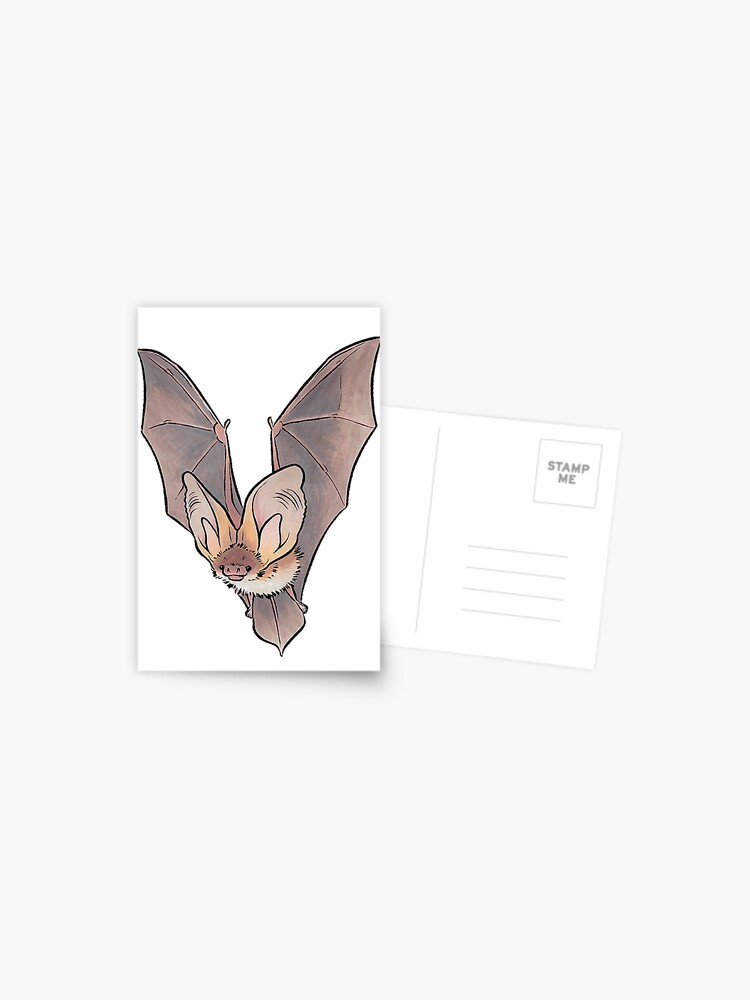 "Grey long-eared bat" Postcard for Sale by HenriekeG | Redbubble