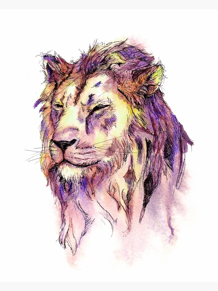 "Watercolor and Ink Lion" Poster by amyec | Redbubble