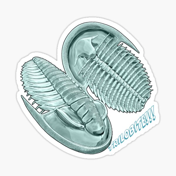 "Estaingia bilobata, Cambrian trilobite." Sticker for Sale by ...
