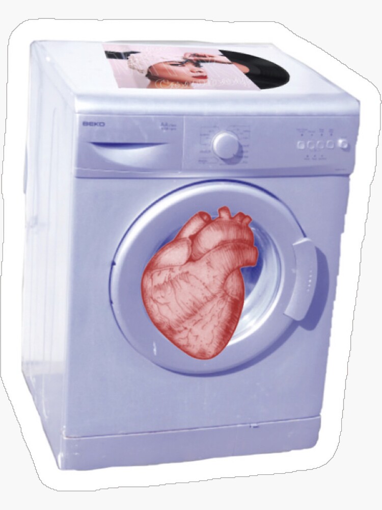 "washing machine heart by mitski" Sticker by moonrabbitco | Redbubble