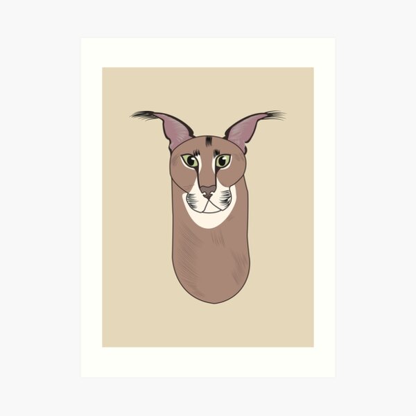 "Cartoon FLOPPA" Art Print by Rzera- | Redbubble