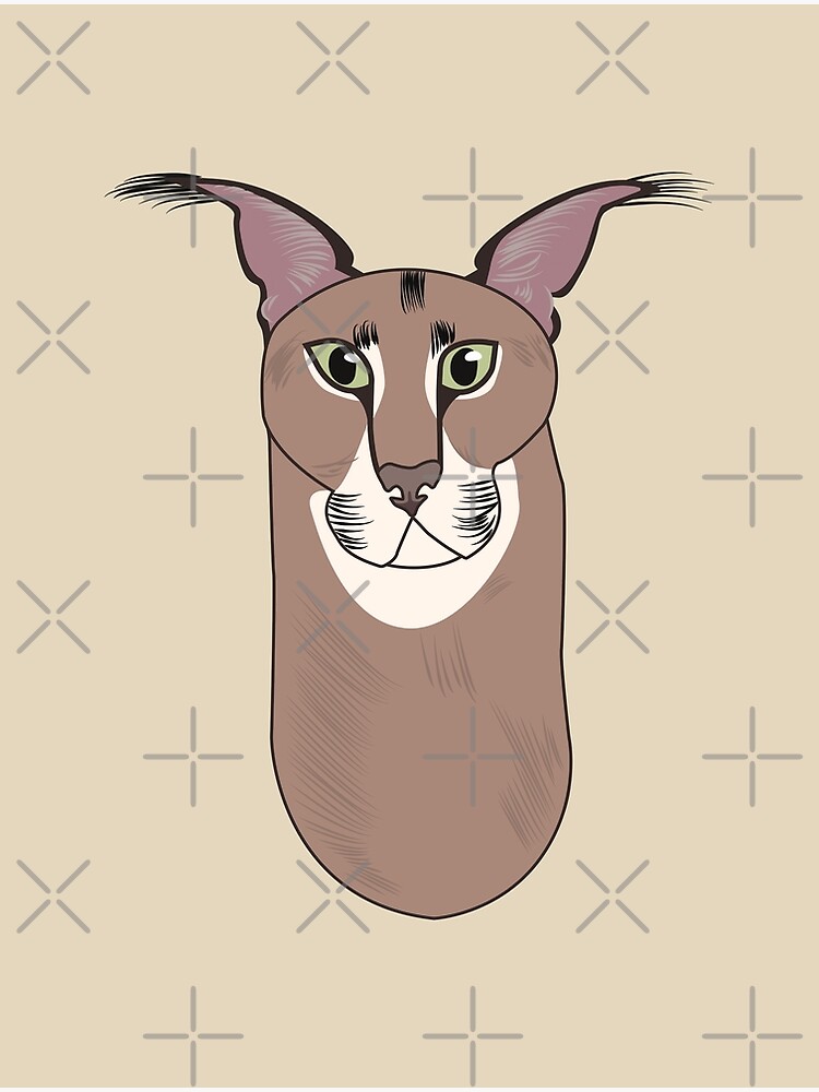 Póster «FLOPPA de dibujos animados» de Rzera- | Redbubble