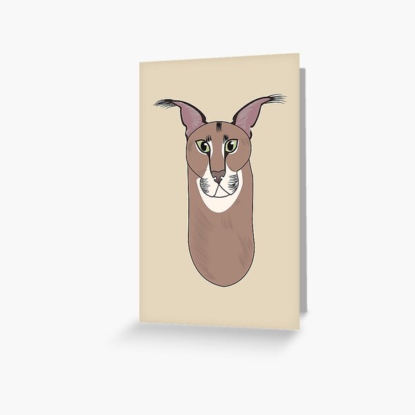 "Cartoon FLOPPA" Greeting Card for Sale by Rzera- | Redbubble